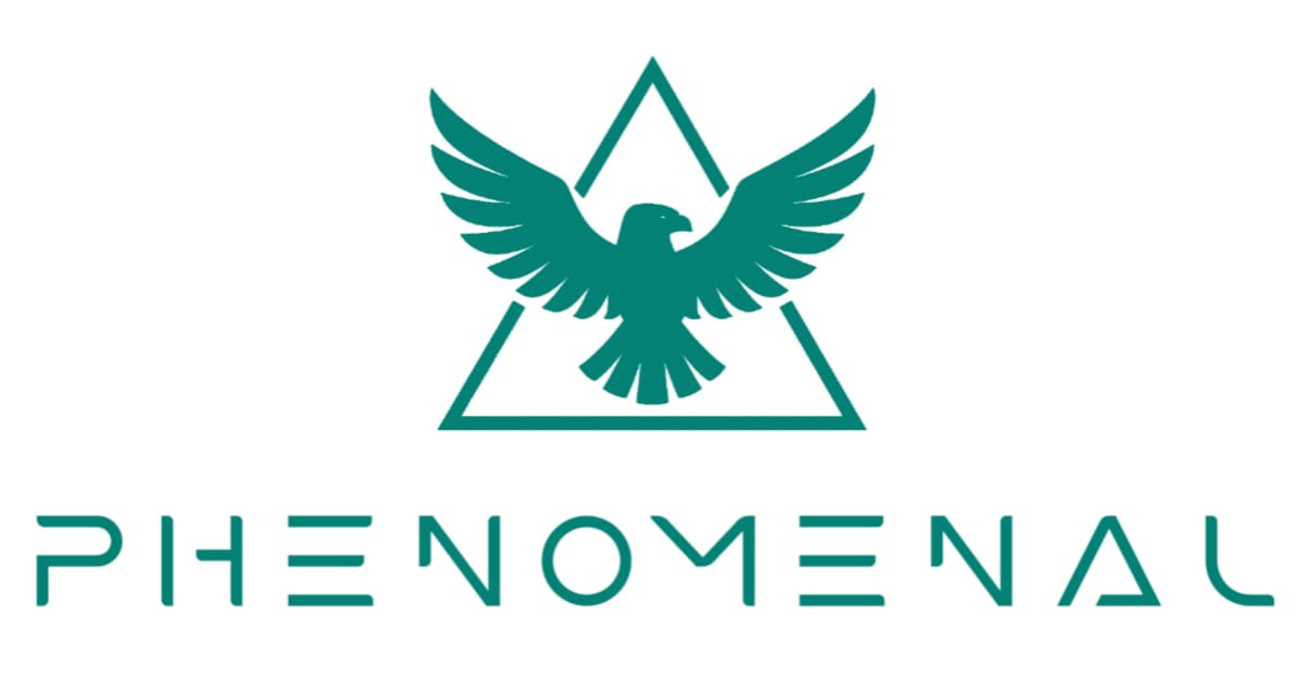 Phenomenal Productions | Top-Tier Software Company in Nigeria